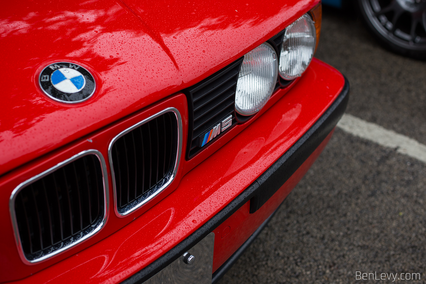 Front Grille Of E34 BMW M5 BenLevy Front Grille Of E34 BMW M5 BenLevy